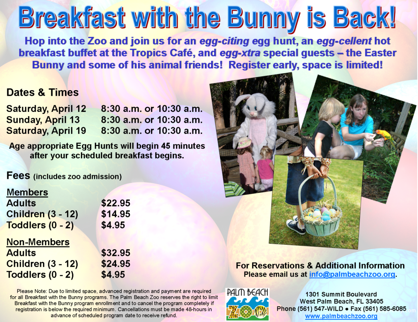 This Weekend at the Palm Beach Zoo: Breakfast With the Bunny! | SoSo News